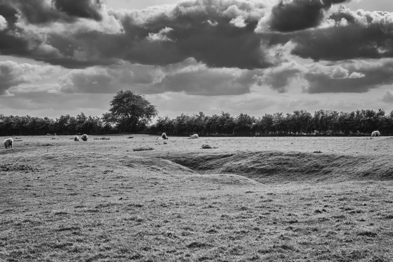 Lost in a Landscape: Trunch | Invisible Works