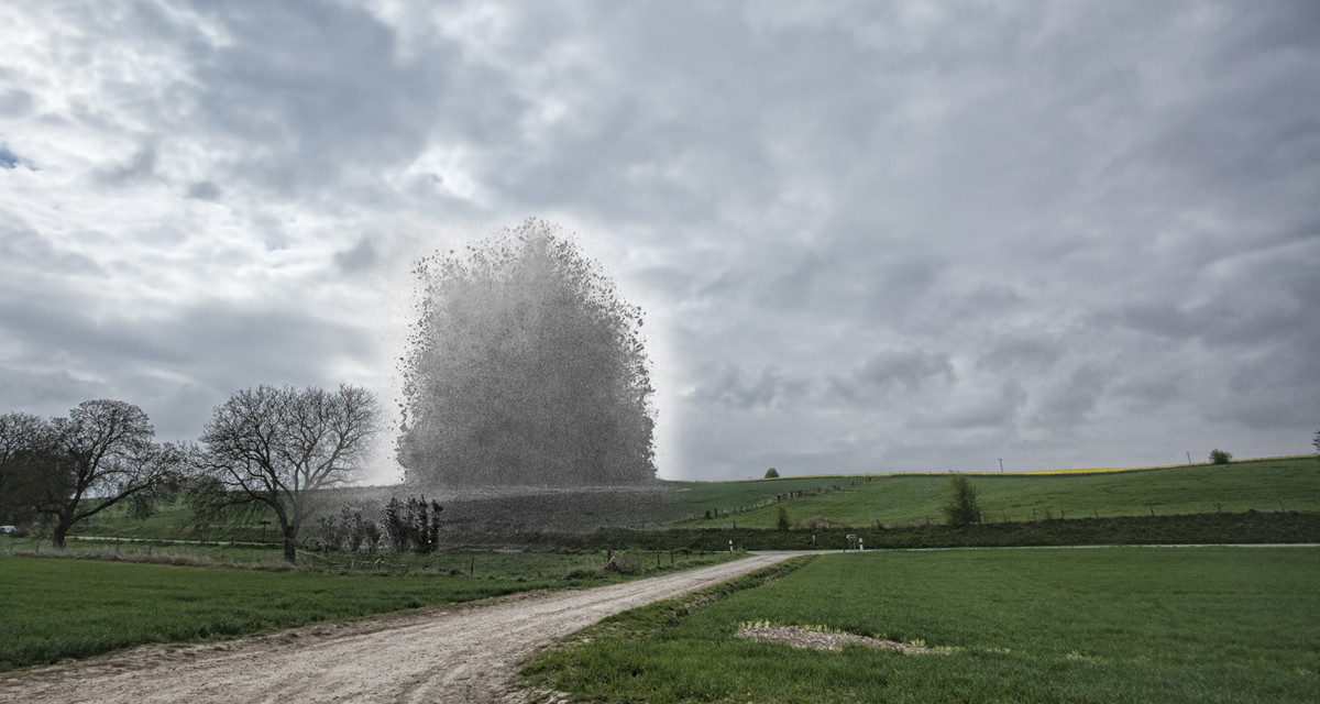 Hawthorn ridge mine on the somme WW1