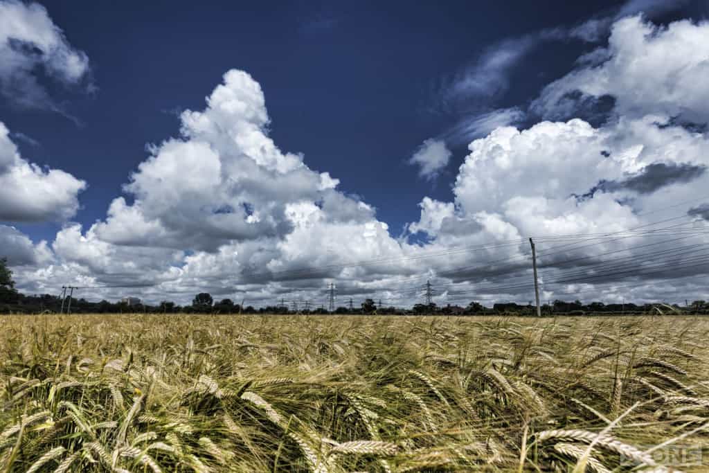 Lost in a Landscape: Arminghall henge | Invisible Works