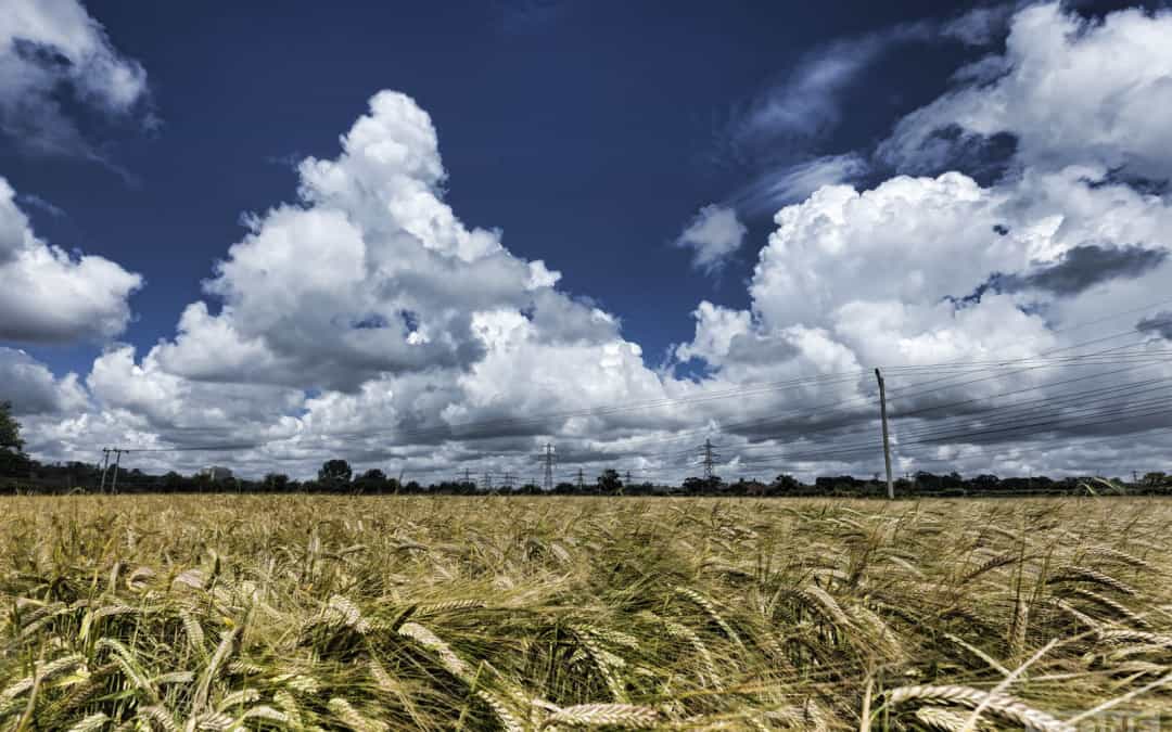 Lost in a Landscape: Arminghall henge | Invisible Works
