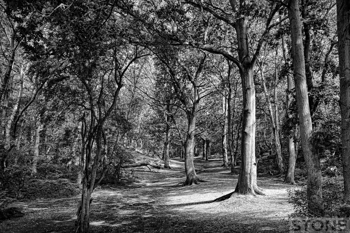 Lost in a Landscape: The Vinegar Pond, Mousehold Heath, Norwich ...