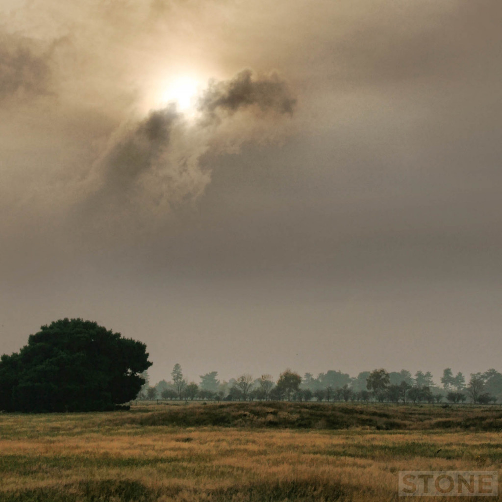 Lost in a landscape: Burying kings – Sutton Hoo | Invisible Works