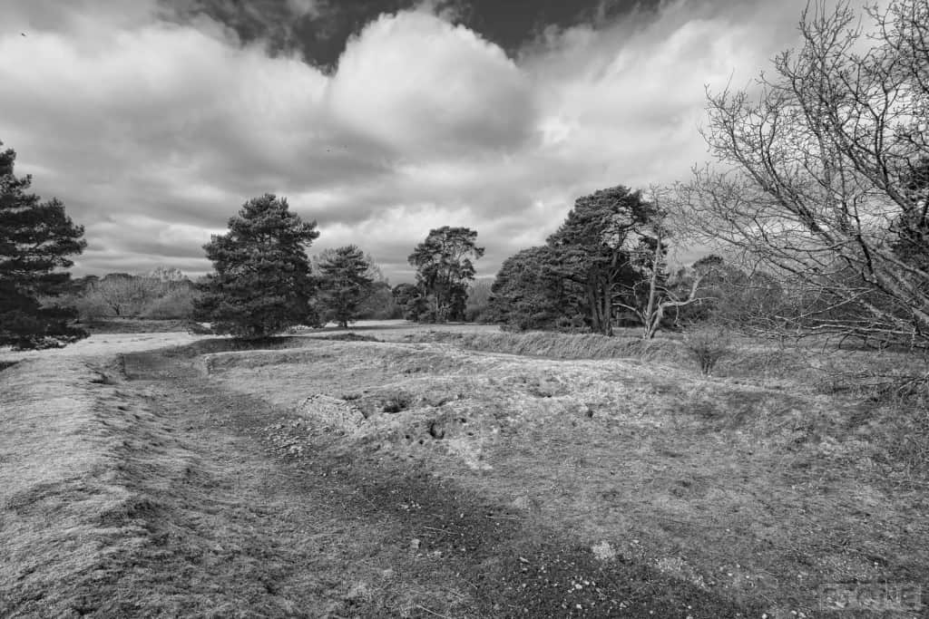 Lost in a landscape: Wretham Circles | East Wretham