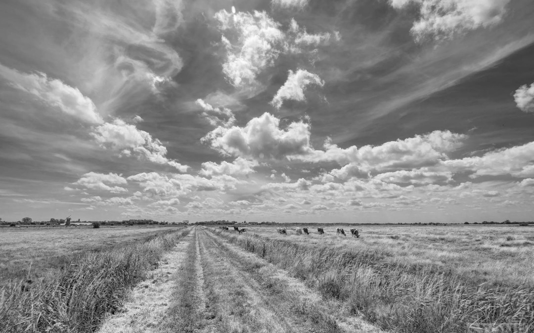 Lost in a Landscape: Heigham Holmes | Invisible Works